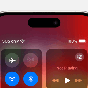 VoiceOver Gestures on iPhone & iPad: Complete Guide - GeeksModo